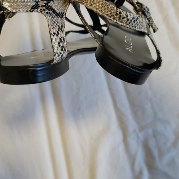 Aldo | Shoes | Brand New Aldo Snake Print Size 55 | Poshmark